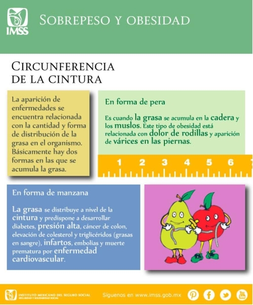 Concientiza IMSS sobre riesgos de la obesidad - ENCORTO NEWS Concientiza IMSS sobre riesgos de la obesidad - ENCORTO NEWS